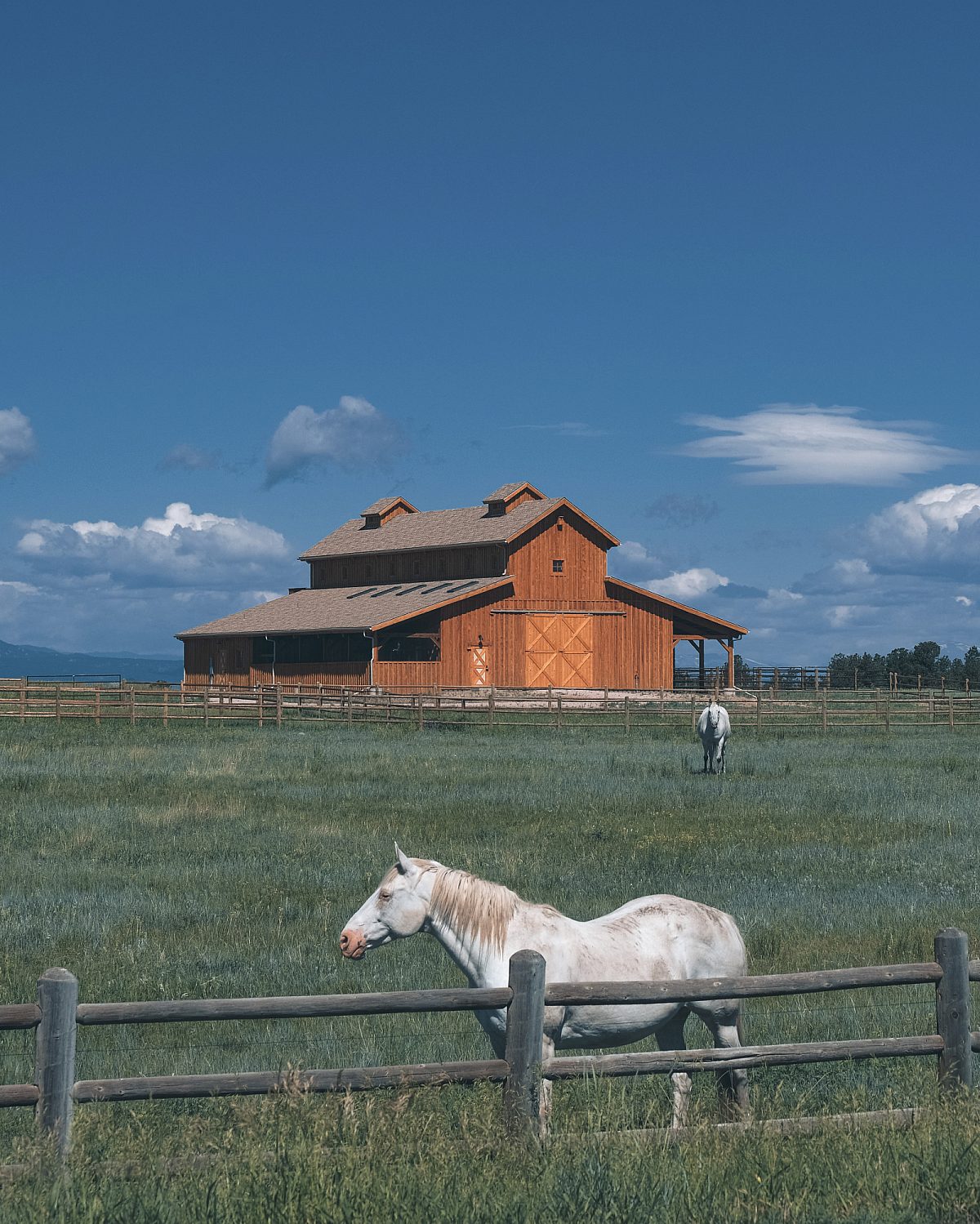 Timberlyne | The Falcon Barn
