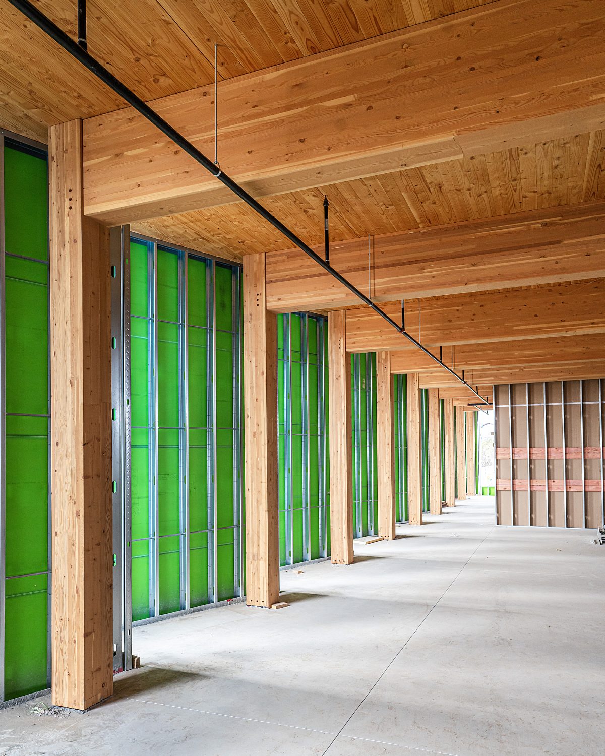 Timberlyne | Mass Timber