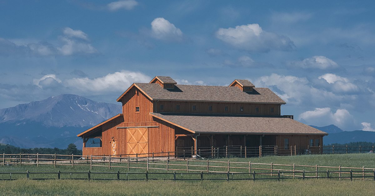 Timberlyne | The Falcon Barn