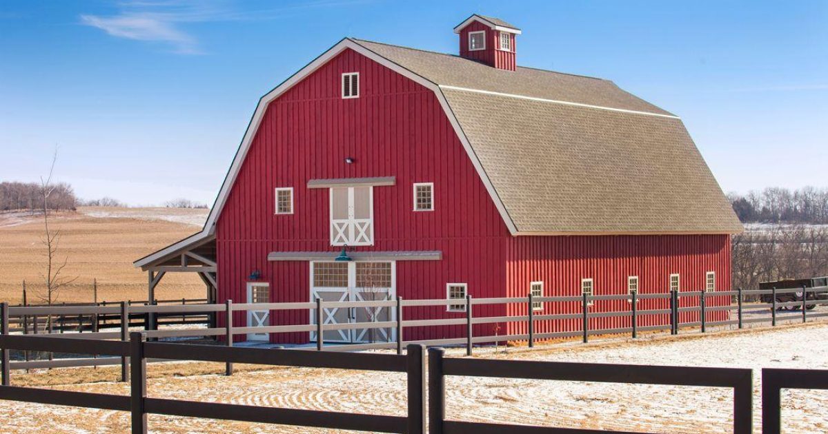 Timberlyne | Go Big Red