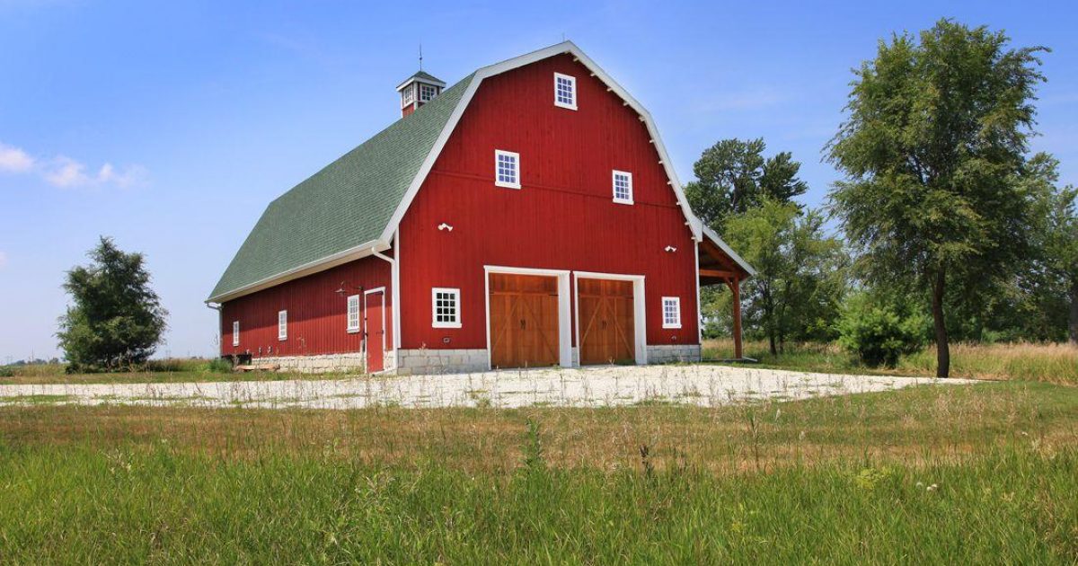 Timberlyne | The Cardinal