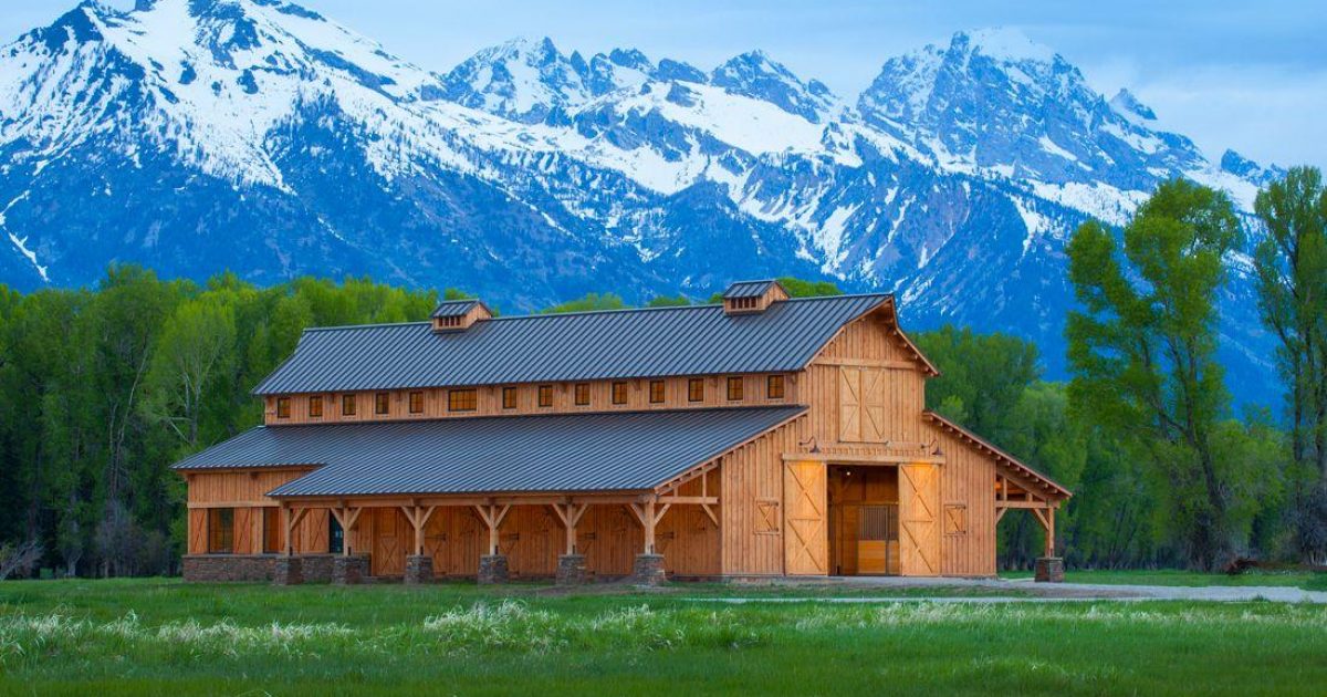 Timberlyne | The Icon