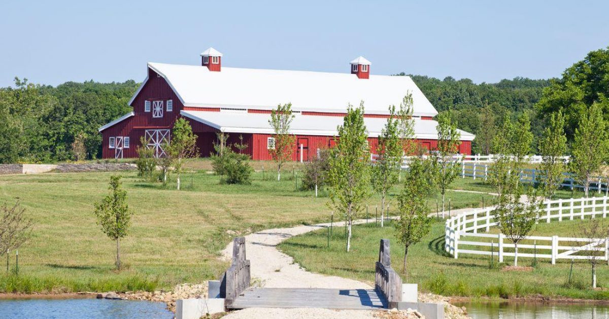 Timberlyne | Sprawling Red