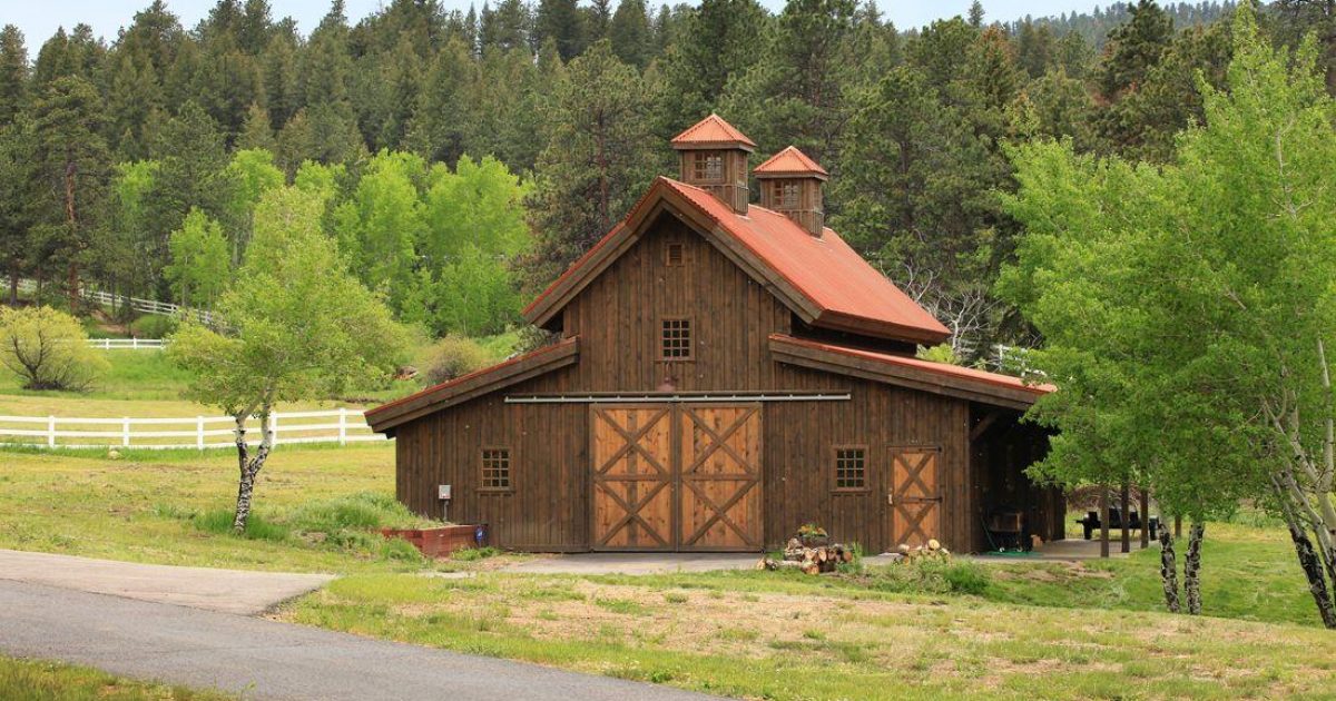 Timberlyne | Authentic Colorado