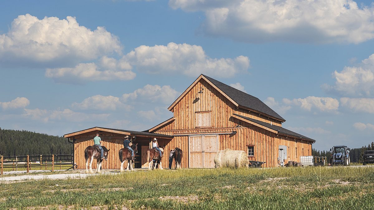 Timberlyne | Clydesdale Outpost Barn