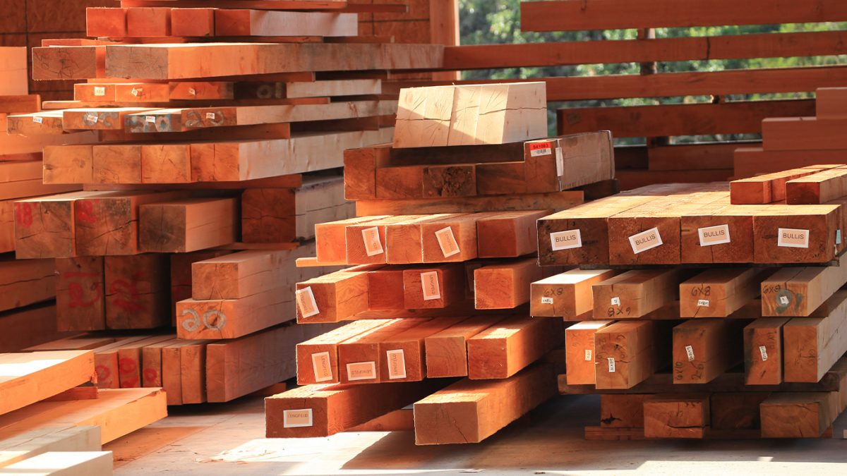 Timberlyne | Wood Species and Finish Options