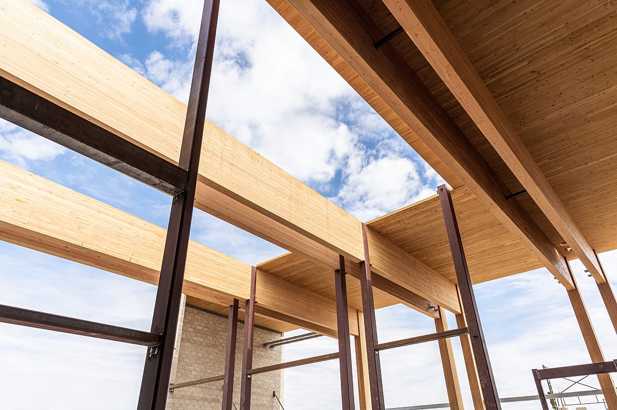 Timberlyne | Mass Timber