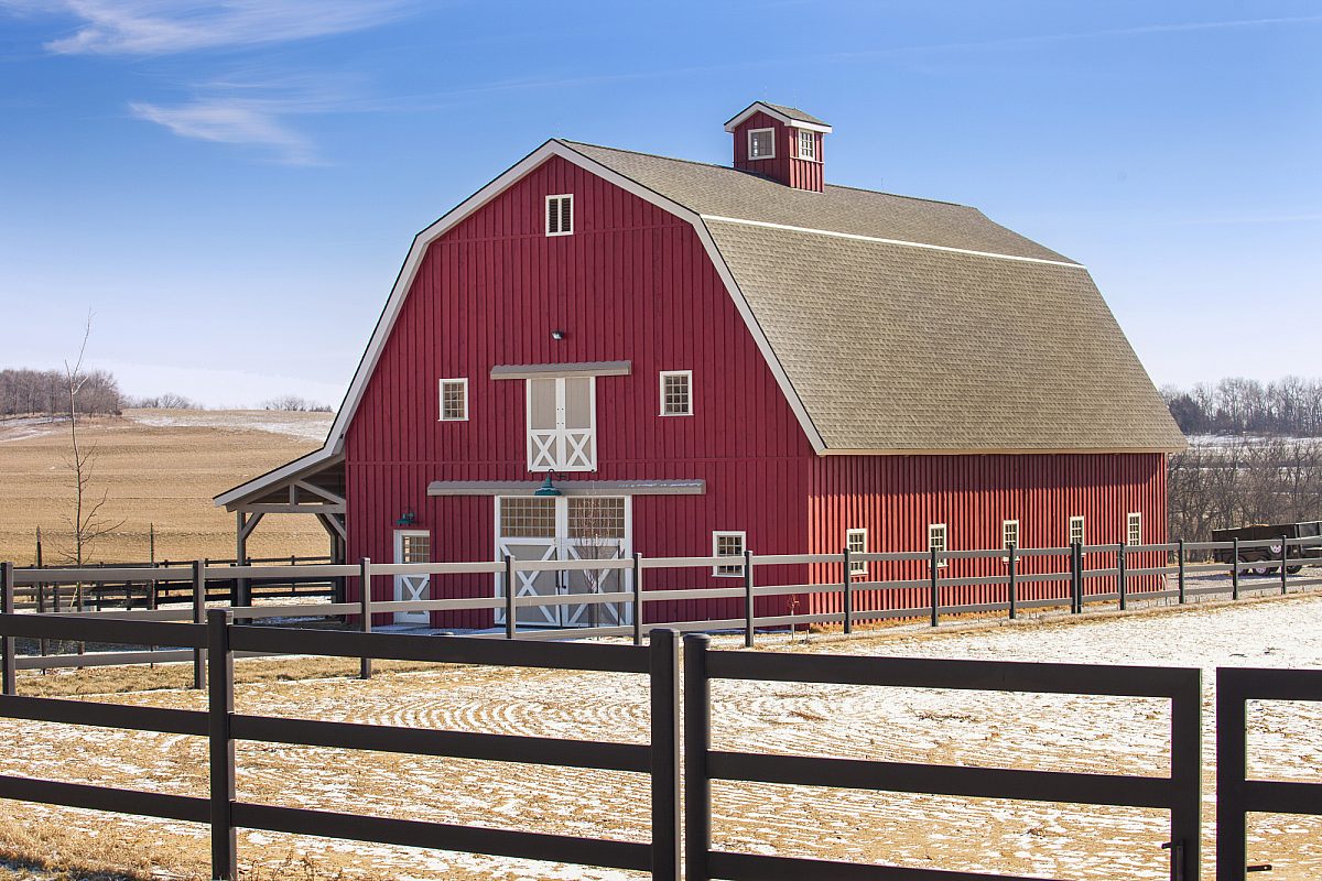 Timberlyne | Go Big Red