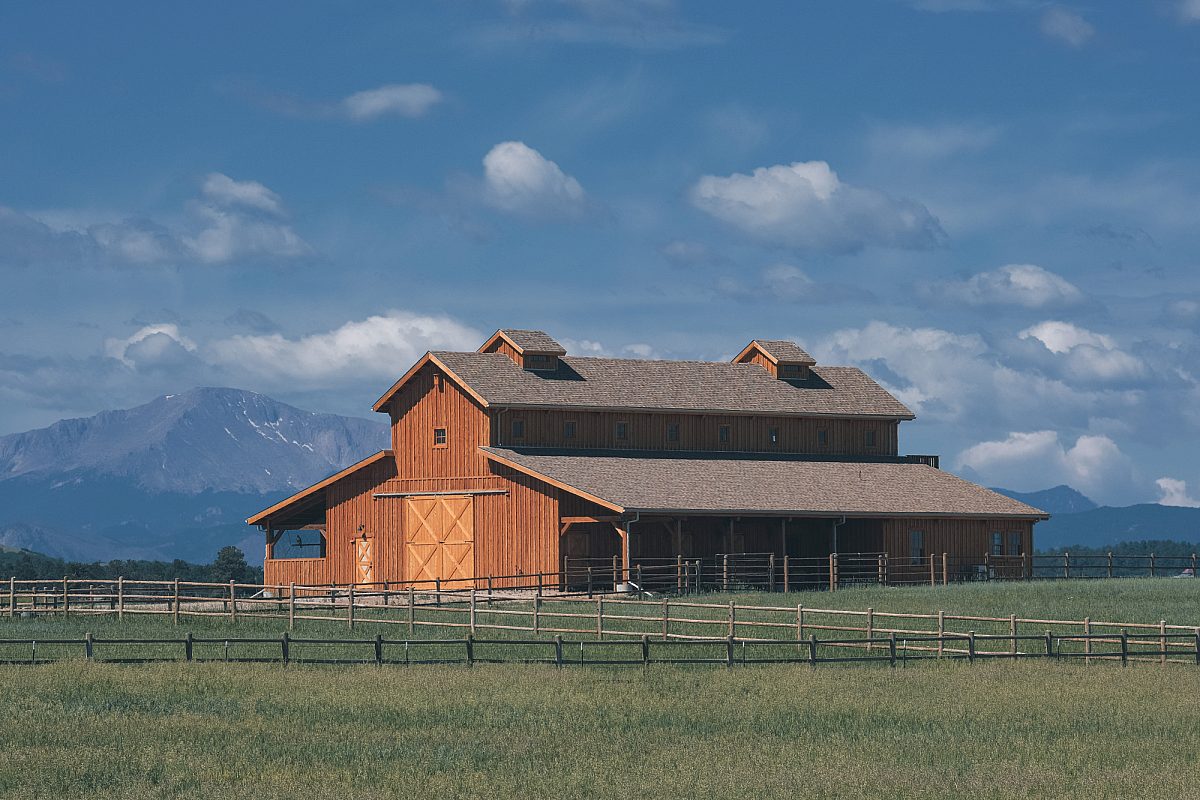 Timberlyne | The Falcon Barn
