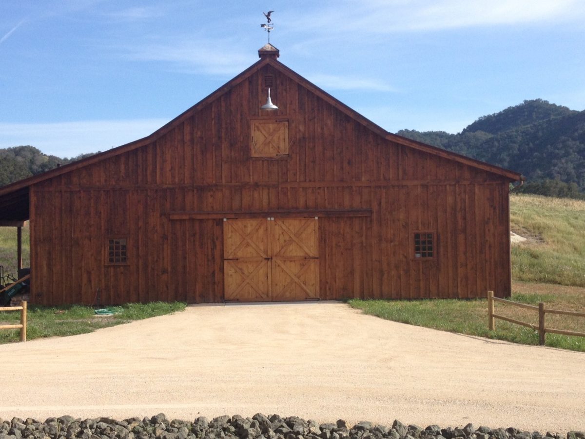 Timberlyne | California Hobby Barn