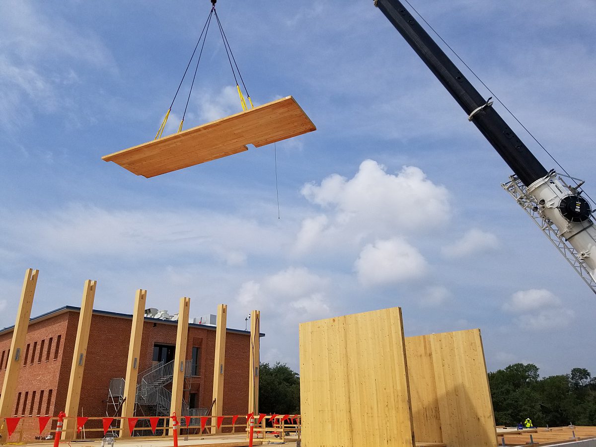 Timberlyne | Mass Timber