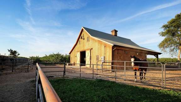 Timberlyne | Sunshine Horse Barn