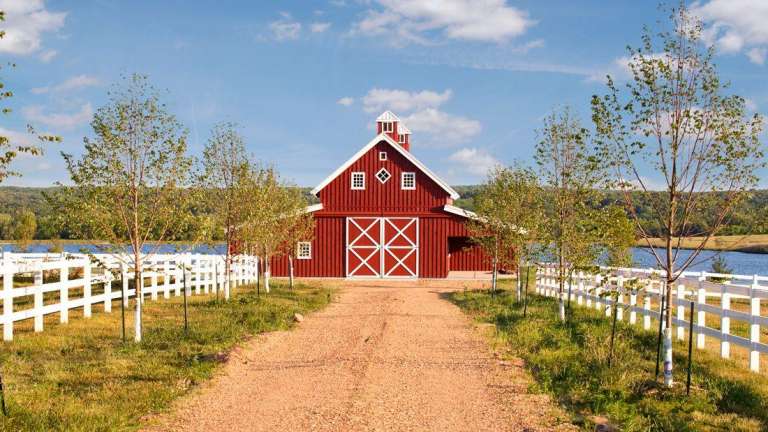 Timberlyne | Sprawling Red