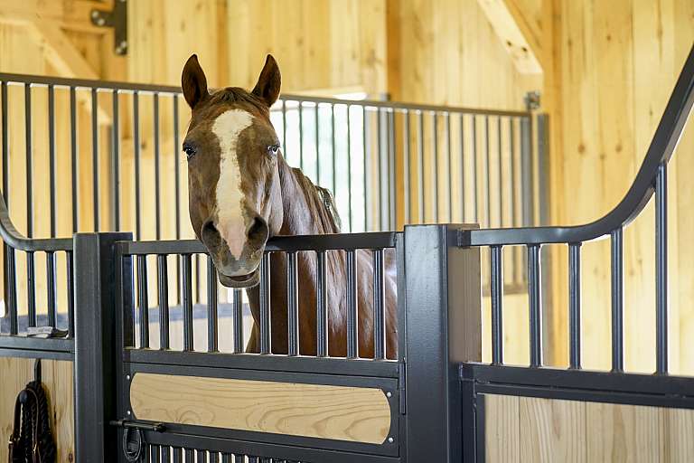 Timberlyne | The Harding Barn