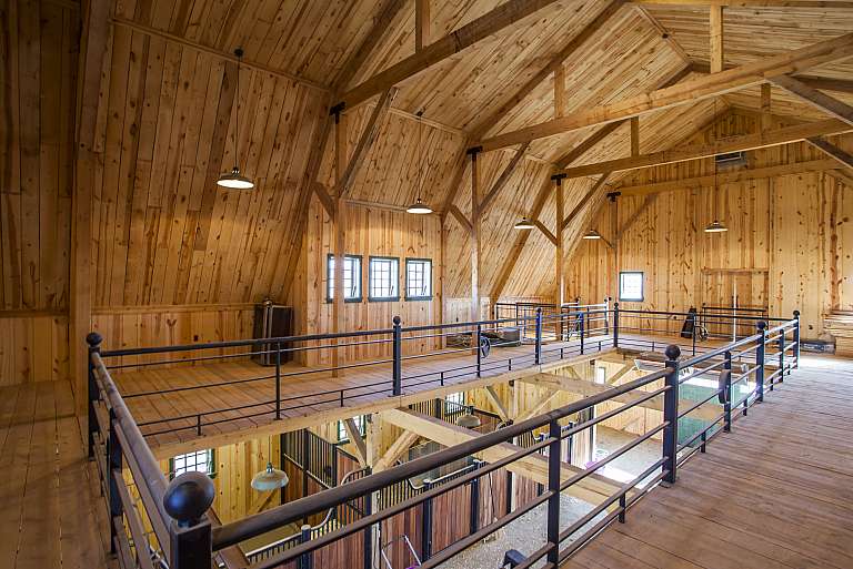 Timberlyne | Go Big Red