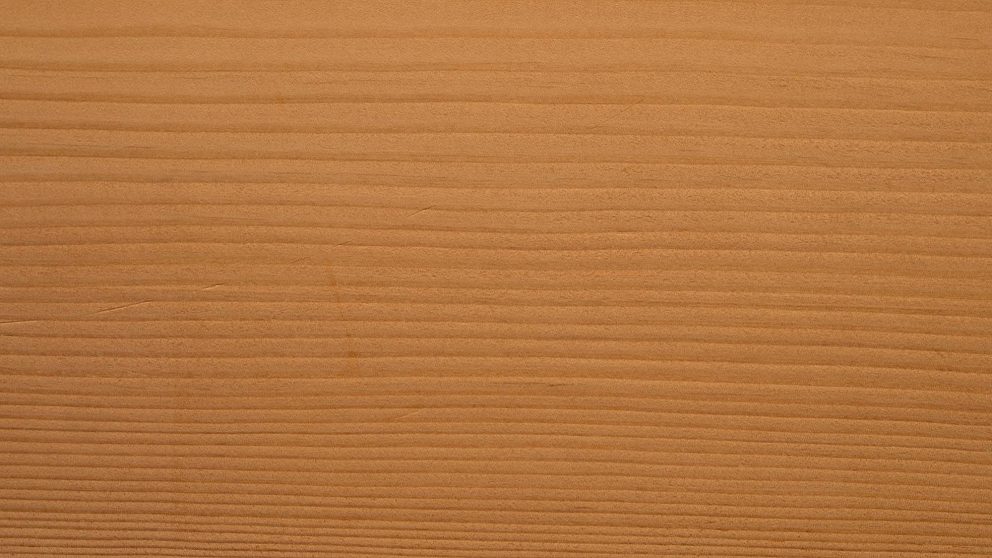 Timberlyne | Custom Post & Beam Barns Residential Professionals