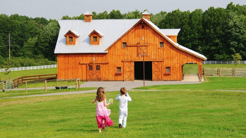 Timberlyne | Pennsylvania Perfect