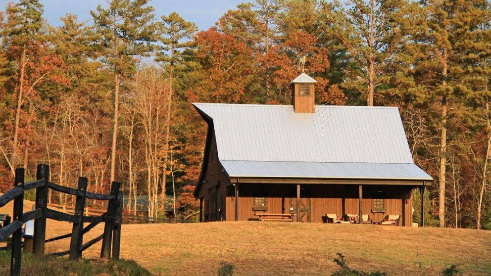 Timberlyne | Georgia Hillside