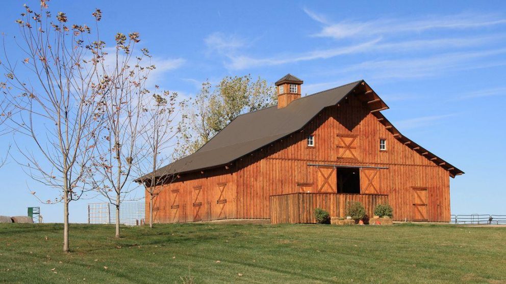 Timberlyne | At Home on the Prairie