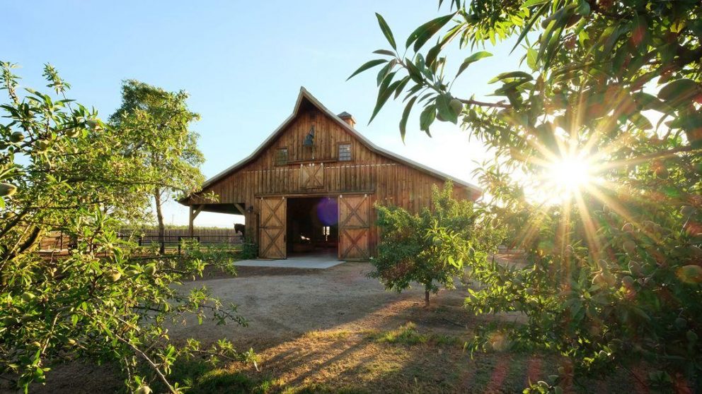 Timberlyne | Sunshine Horse Barn