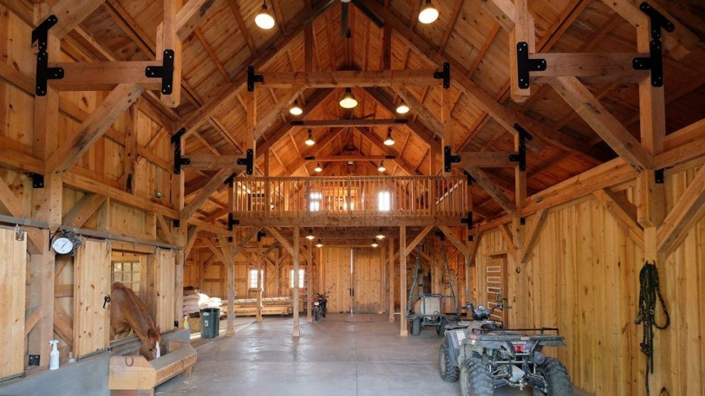 Timberlyne | Sunshine Horse Barn
