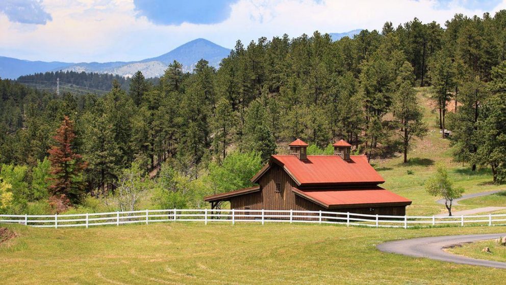 Timberlyne | Authentic Colorado