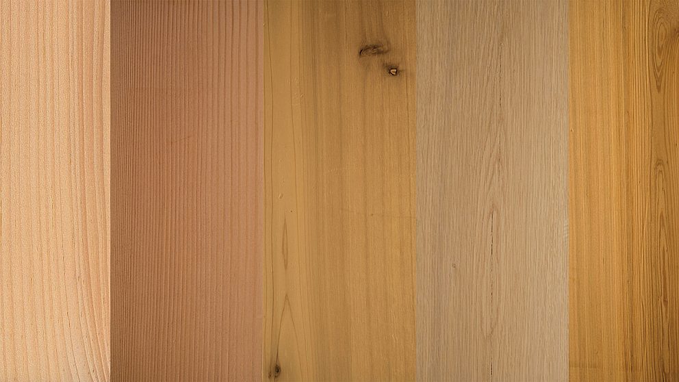 Timberlyne | Custom Homes