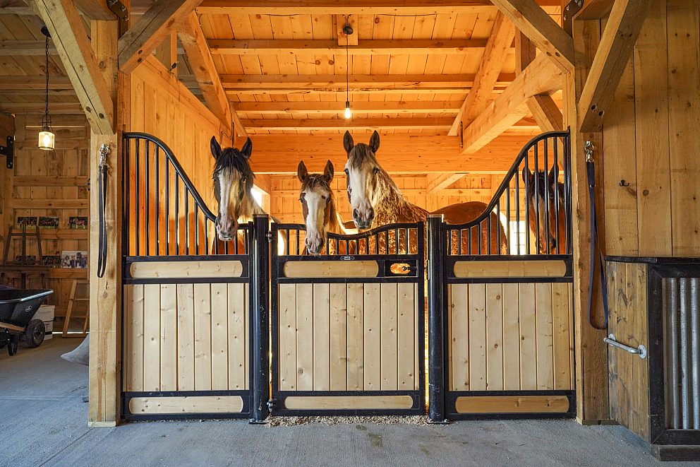 Timberlyne | Clydesdale Outpost Barn