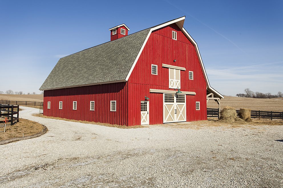 Timberlyne | Go Big Red