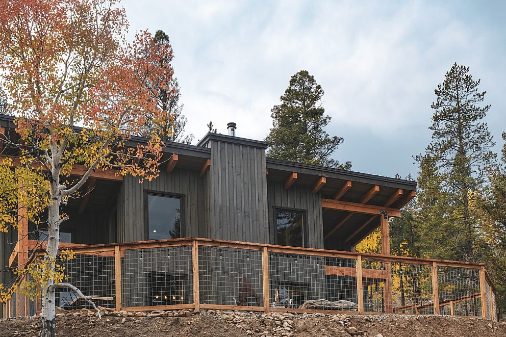 Timberlyne | Modern Minimalist