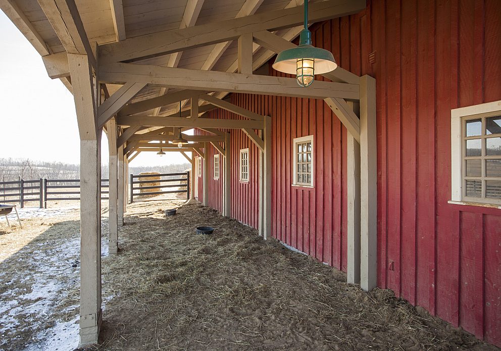 Timberlyne | Go Big Red