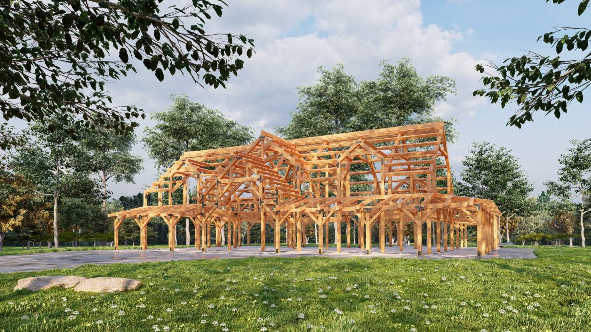 Timberlyne | Camelback