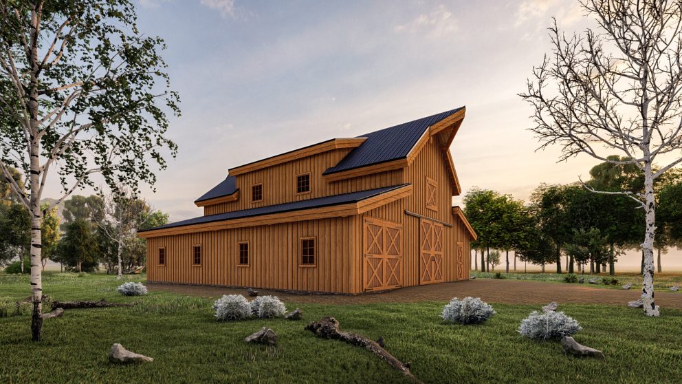 Timberlyne | Sunflower